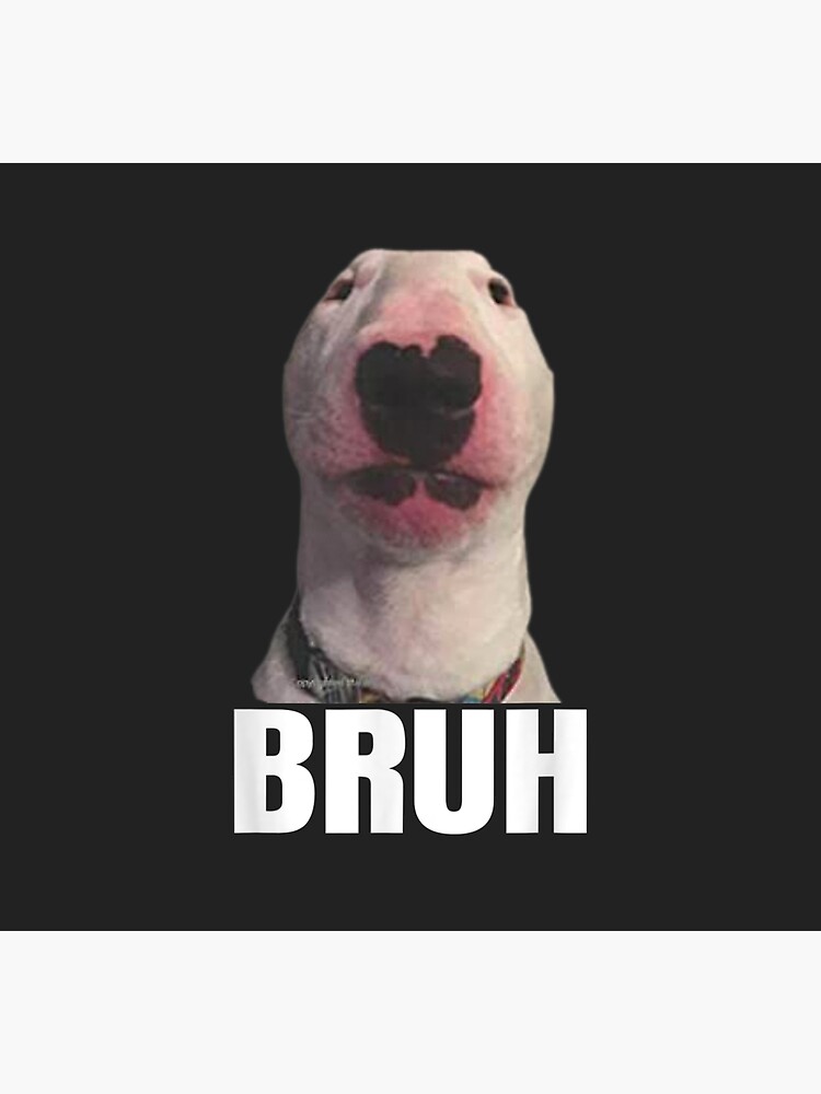 Poster « Bruh Dog Meme - Drôle Bruh Brah Meme Funny Meme Gifts BRUHH ...