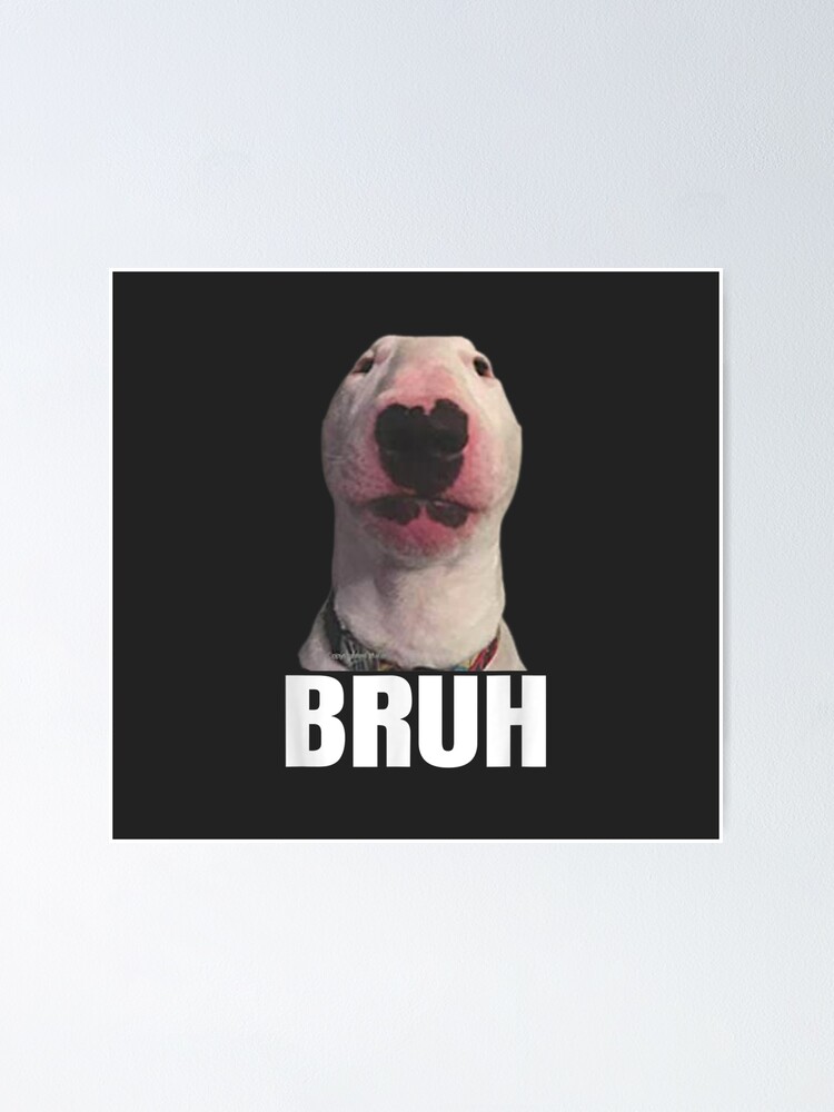 "Bruh Dog Meme - Funny Bruh Brah Meme Funny Meme Gifts BRUHH" Poster ...