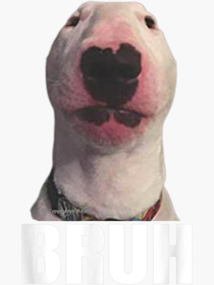 "Bruh Dog Meme - Funny Bruh Brah Meme Funny Meme Gifts BRUHH" Sticker ...