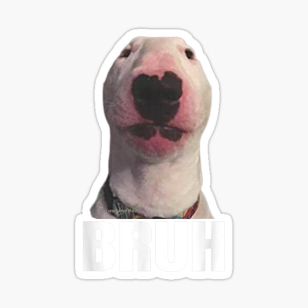 "Bruh Dog Meme - Funny Bruh Brah Meme Funny Meme Gifts BRUHH" Sticker ...
