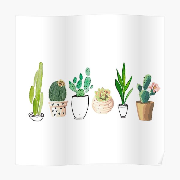 Cactus Posters | Redbubble