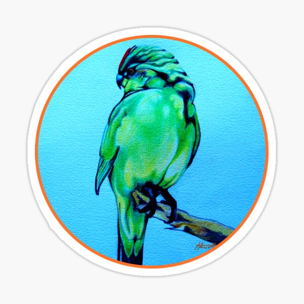 "NZ Red-Crowned Parakeet" Sticker for Sale by junglequeen | Redbubble