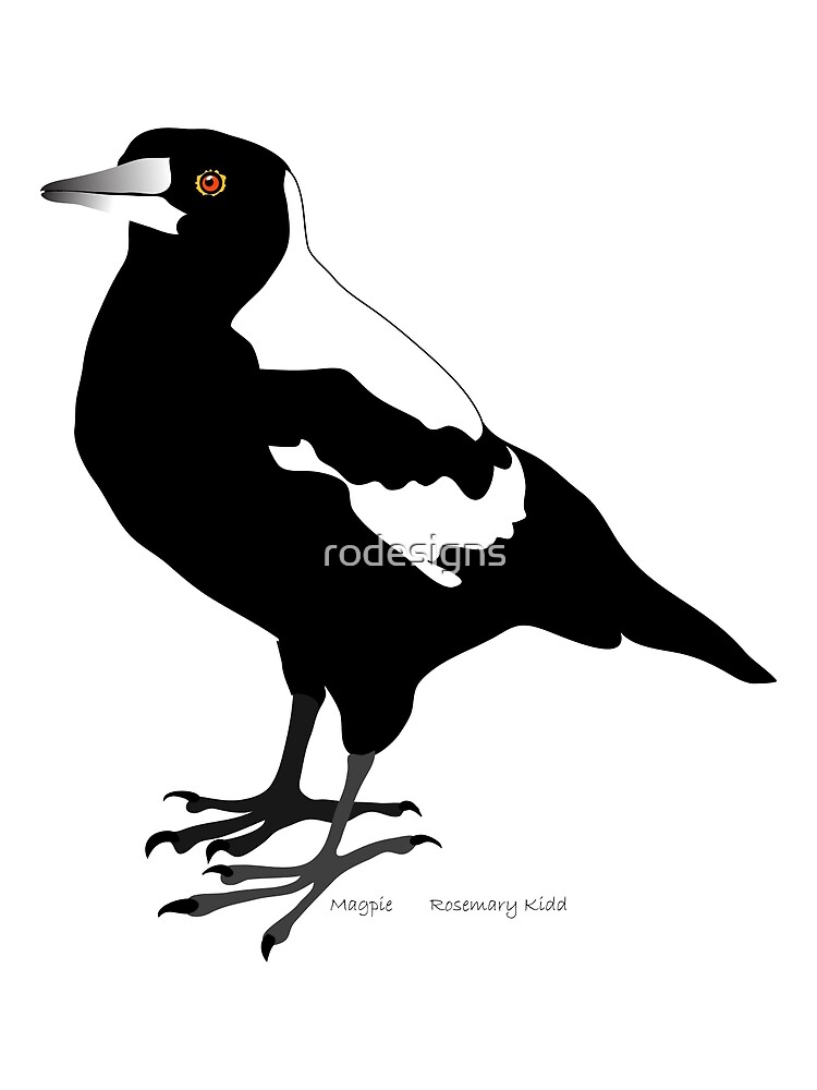 "Magpie, Australian Bird" Art Print for Sale by rodesigns | Redbubble