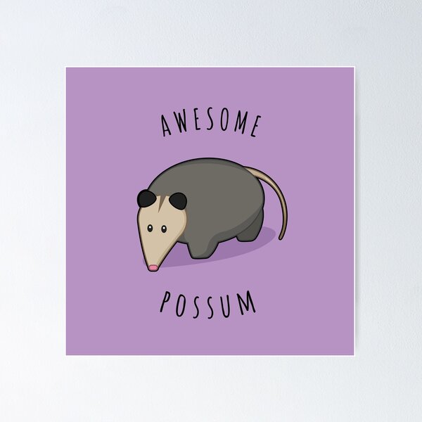 "Awesome Possum" Poster for Sale by Ashley Warner | Redbubble