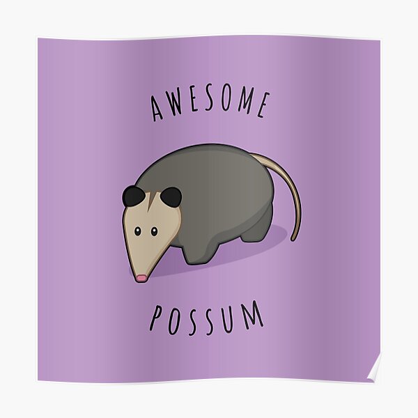 "Awesome Possum" Poster for Sale by BroadwayFan23 | Redbubble