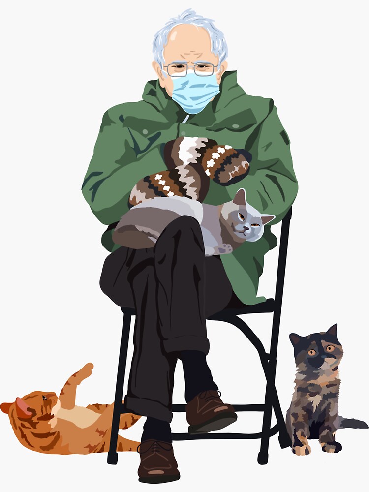 "Bernie Cat Party " Sticker for Sale by pokeypup | Redbubble