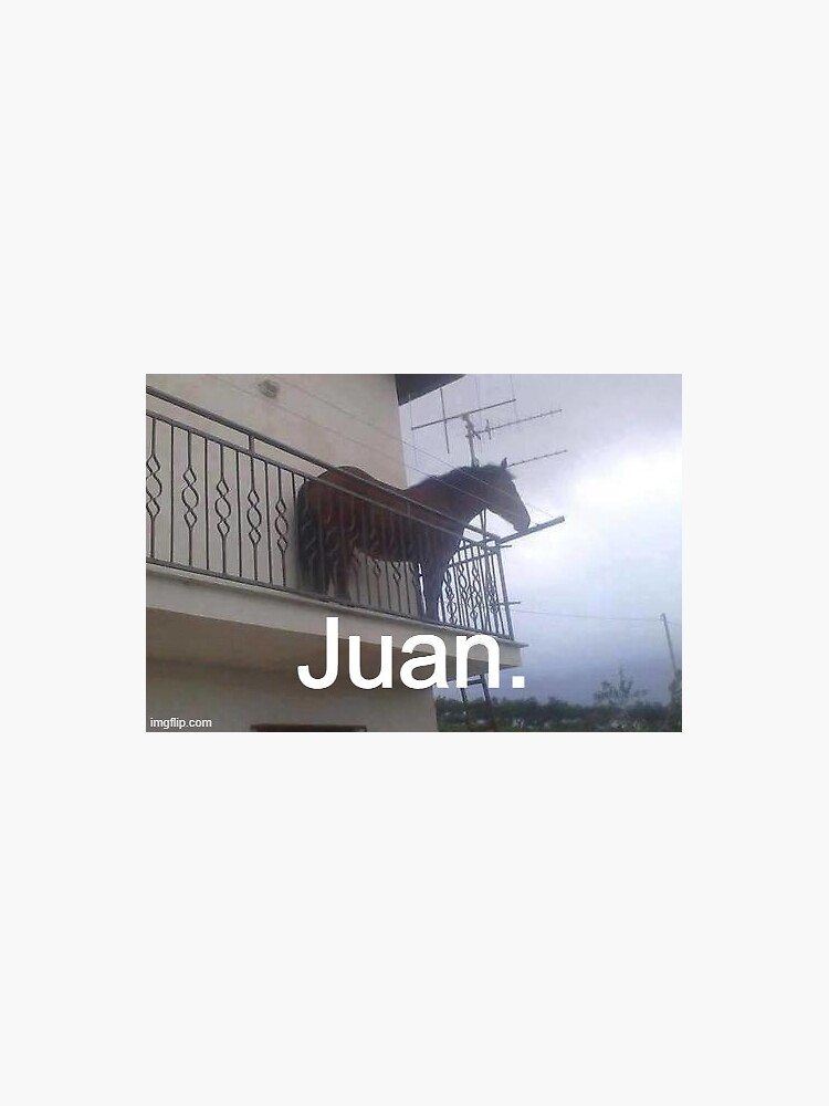 "Juan horse meme" Sticker by yeralrmrz | Redbubble