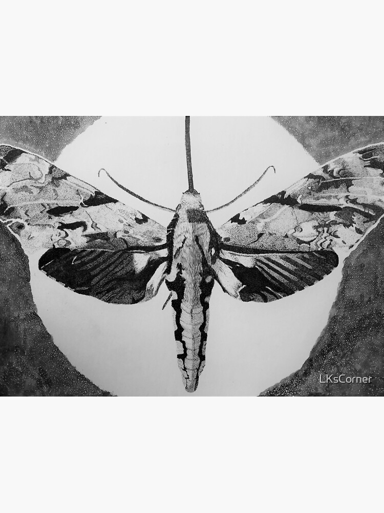 "Moonlit Moth (pen and ink) " Poster for Sale by LKsCorner | Redbubble