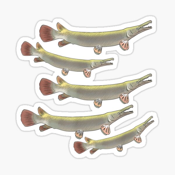 Gar Fish Stickers | Redbubble
