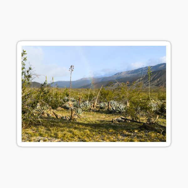 "Anza-Borrego Desert State Park, California" Sticker for Sale by ...