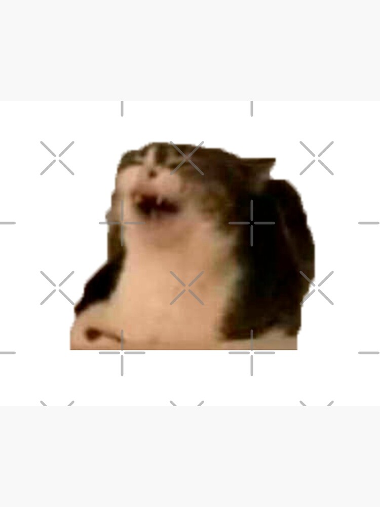 "Laughing cat meme" Poster for Sale by valwerty | Redbubble