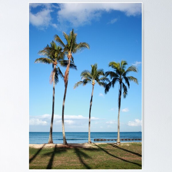 "Four palms " Poster for Sale by zumi | Redbubble
