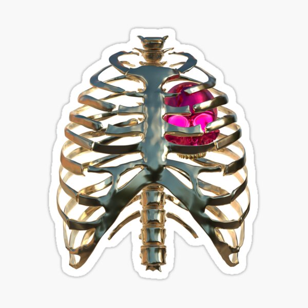 "Skull Heart in Golden Metal Rib Cage" Sticker for Sale by CornKob ...