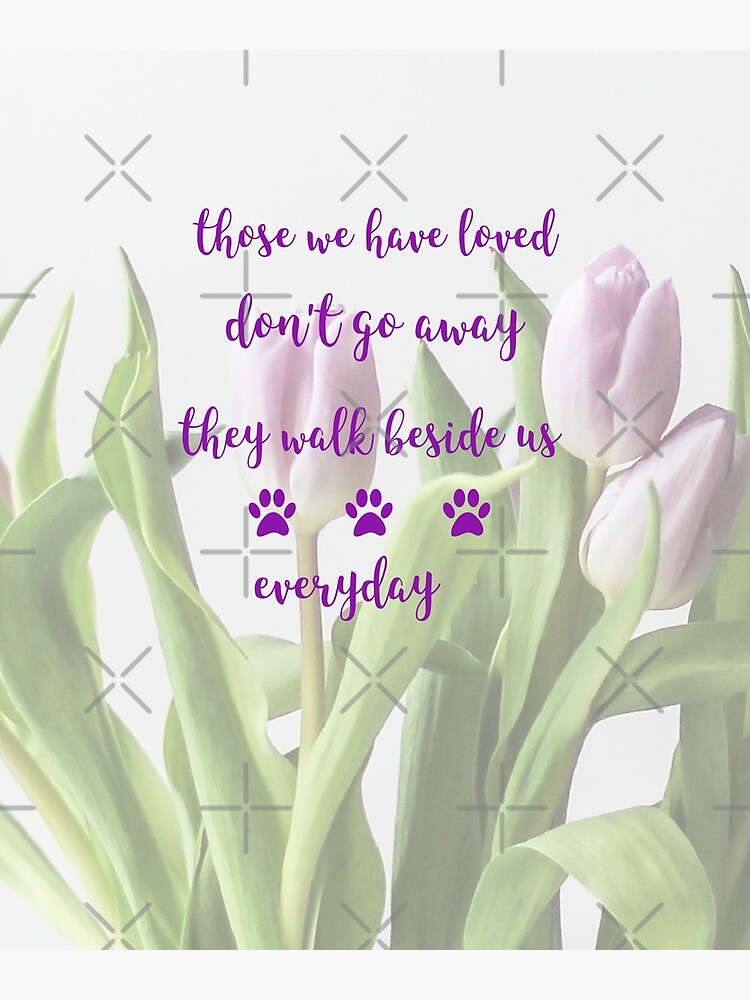 Death Sympathy Memes