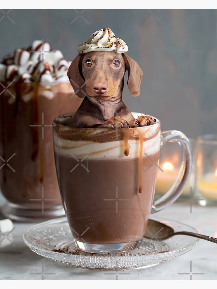 "Sausage Dog Dachshund Choco" Sticker for Sale by toppopin | Redbubble