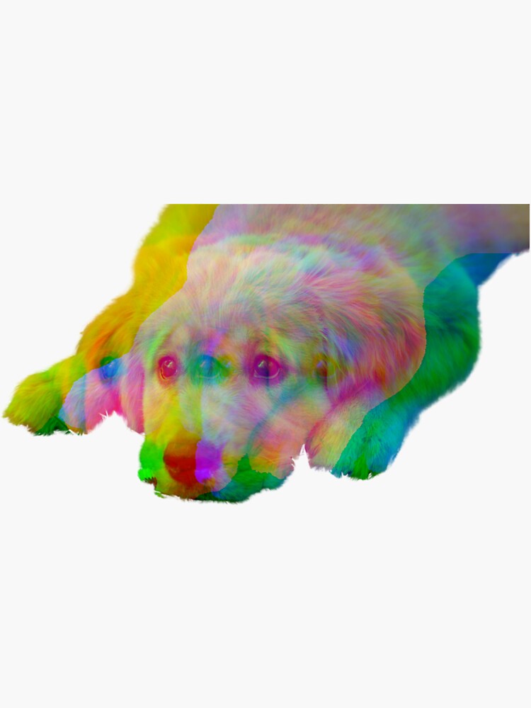 "Hypnotic Dog Puppy Golden Retriver" Sticker by Bacanze | Redbubble