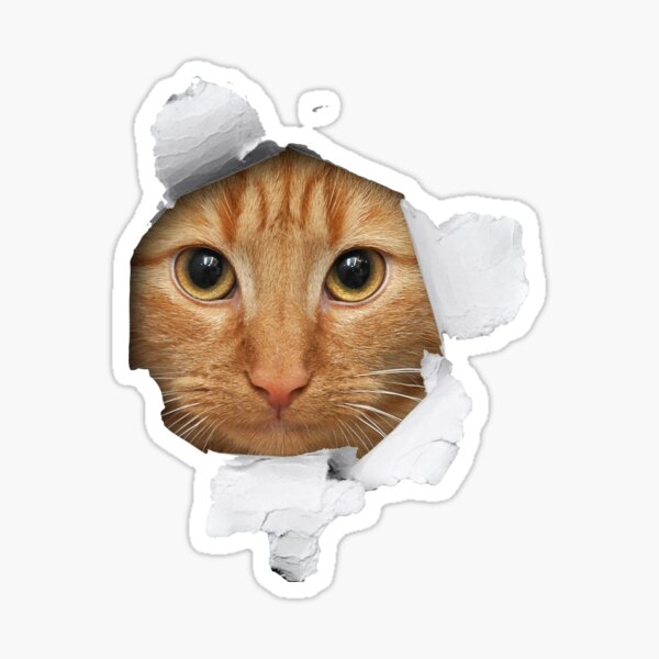 "American cool meow" Sticker by Dreamseeker2020 | Redbubble