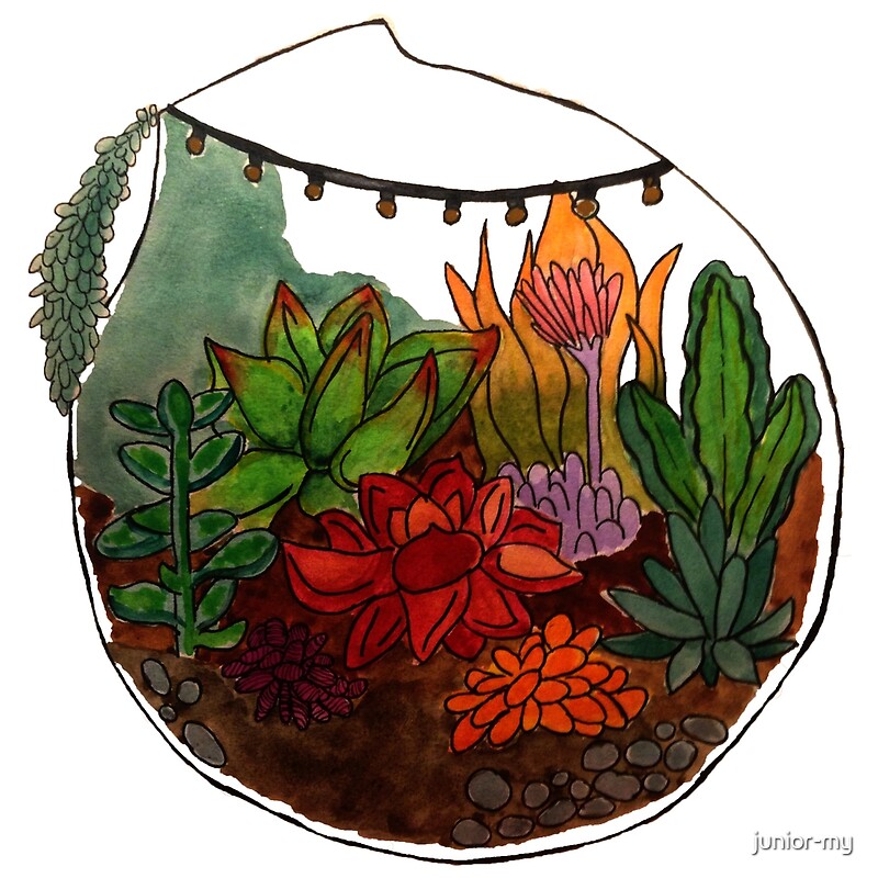 "Hand Drawn Terrarium " by junior-my | Redbubble