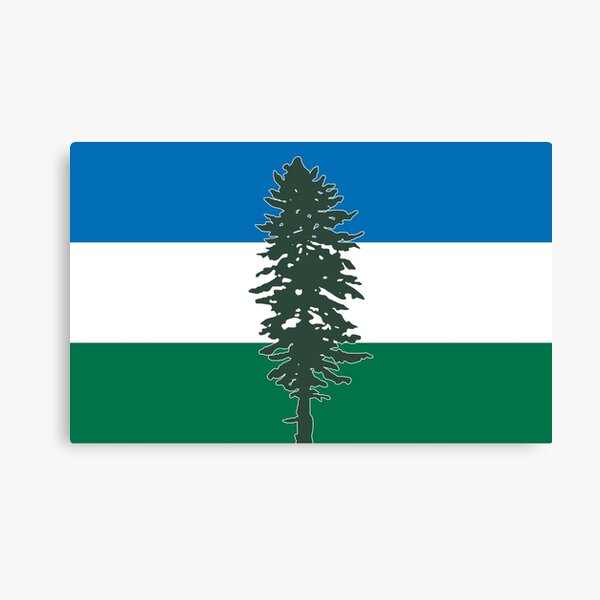 Doug Flag Canvas Prints | Redbubble