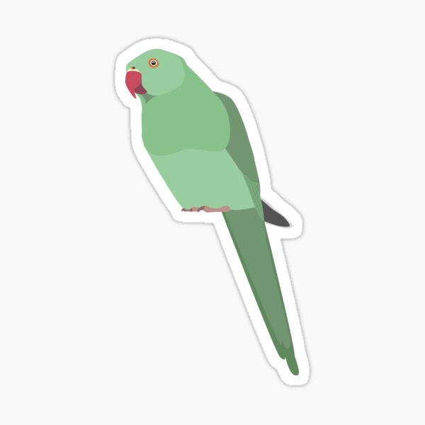 "Parakeet" Sticker by Smile-Birds | Redbubble