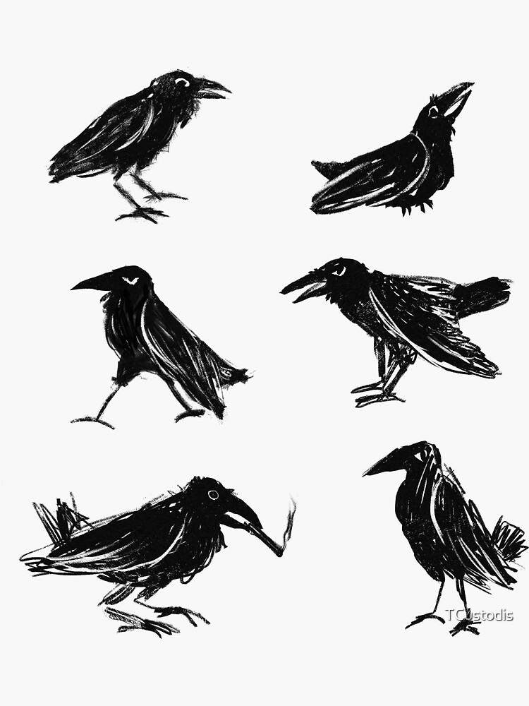 "Funky Crows" Sticker for Sale by TCustodis | Redbubble