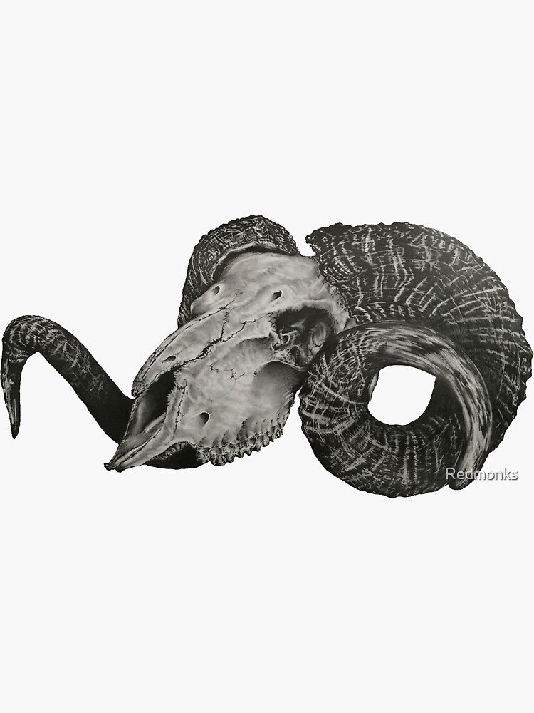 "Ram Skull" Sticker for Sale by Redmonks | Redbubble