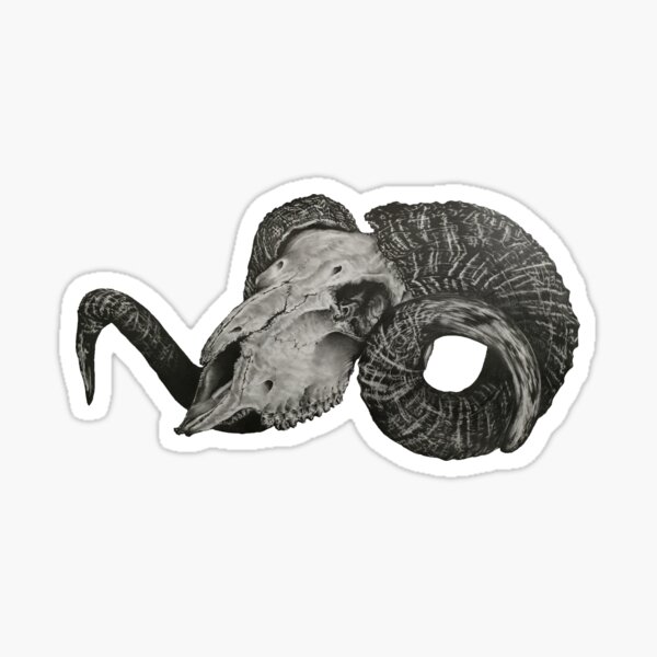"Ram Skull" Sticker for Sale by Redmonks | Redbubble