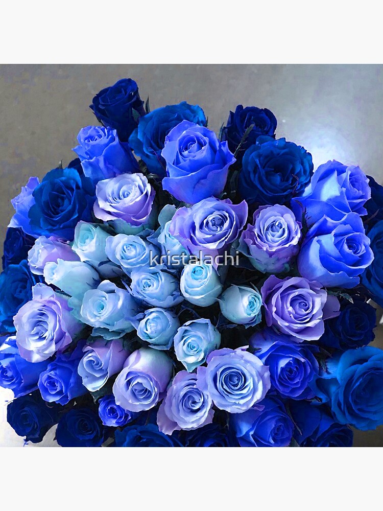 "Royal blue roses bouquet photo design" Art Print by kristalachi ...