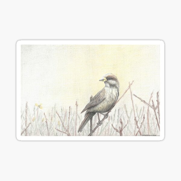 "Waiting" Sticker by Channton | Redbubble