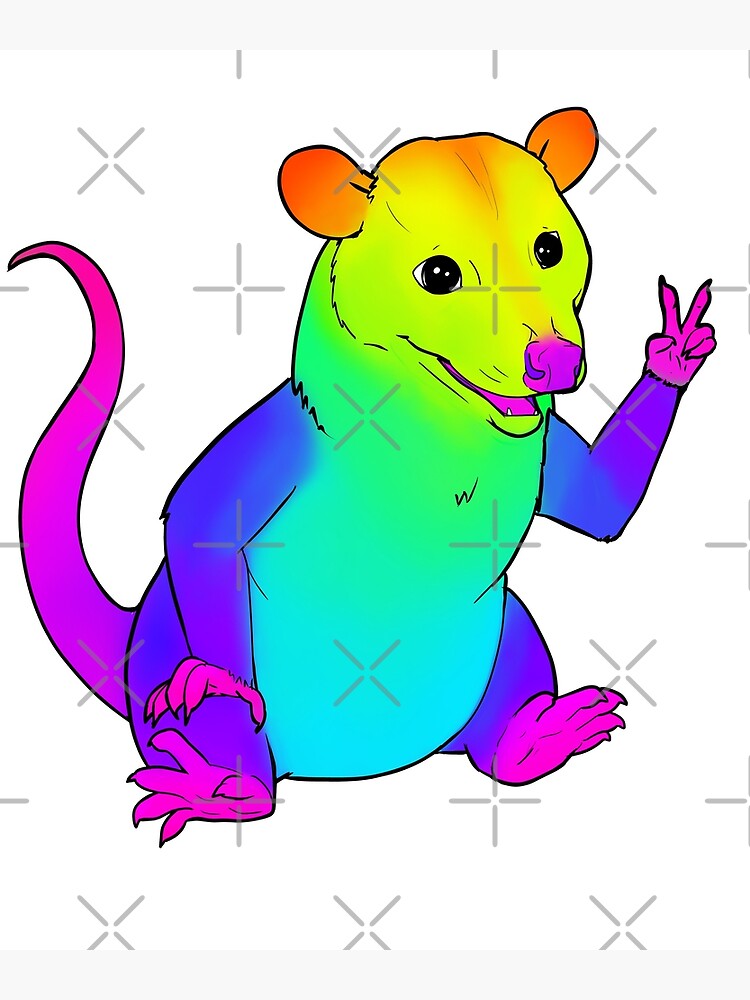 "Rainbow Possum" Poster for Sale by Mehu | Redbubble