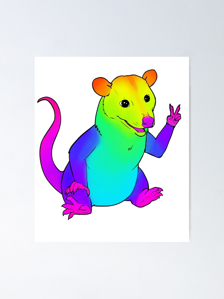 "Rainbow Possum" Poster for Sale by Mehu | Redbubble