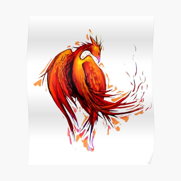 "Fire Bird Drawing" Poster by TreatOrTrick | Redbubble