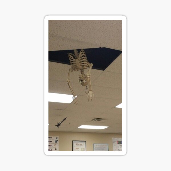 "HILARIOUS MEME SKELETON" Sticker for Sale by mishka36 | Redbubble