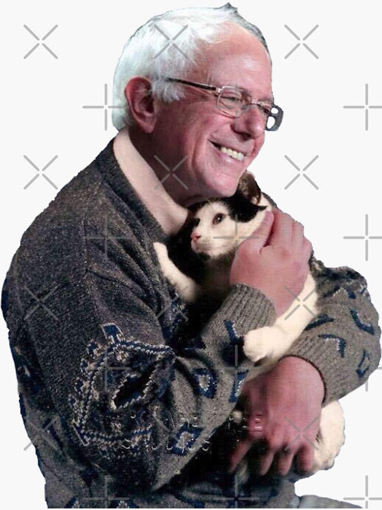 "Bernie Sanders Funny Cat Cute" Sticker for Sale by stickertopic ...