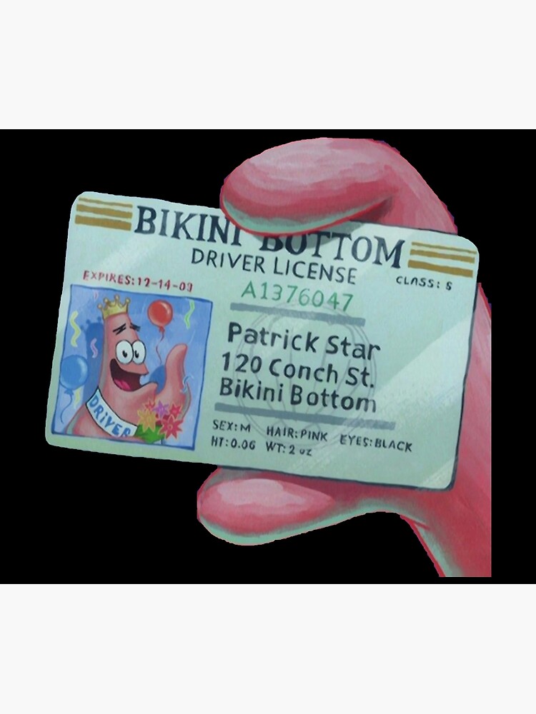 Póster «Licencia de conducir Patrick Star Fan Art & Merch» de ...