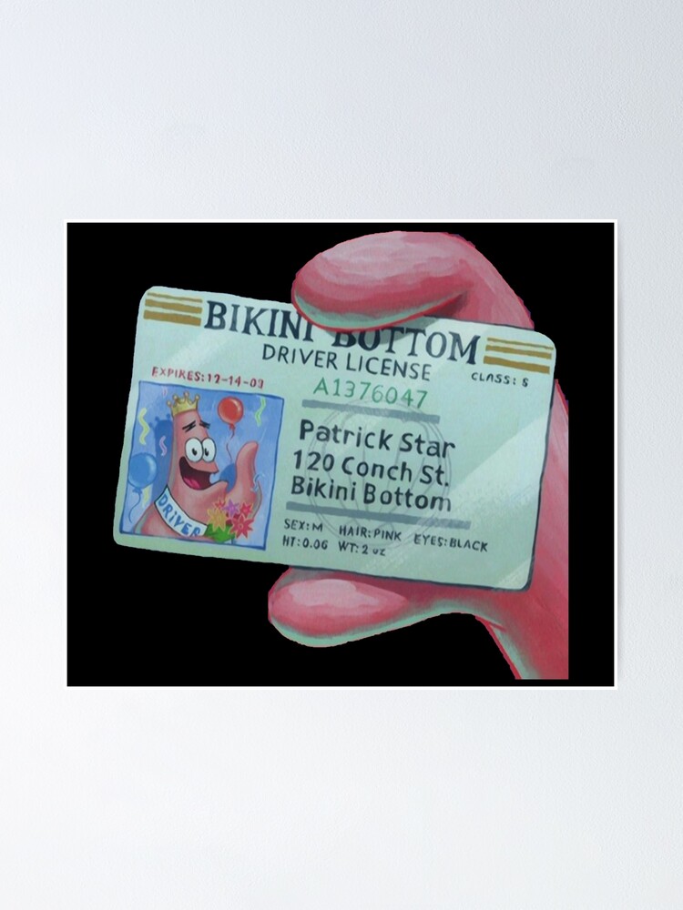 Póster «Licencia de conducir Patrick Star Fan Art & Merch» de ...