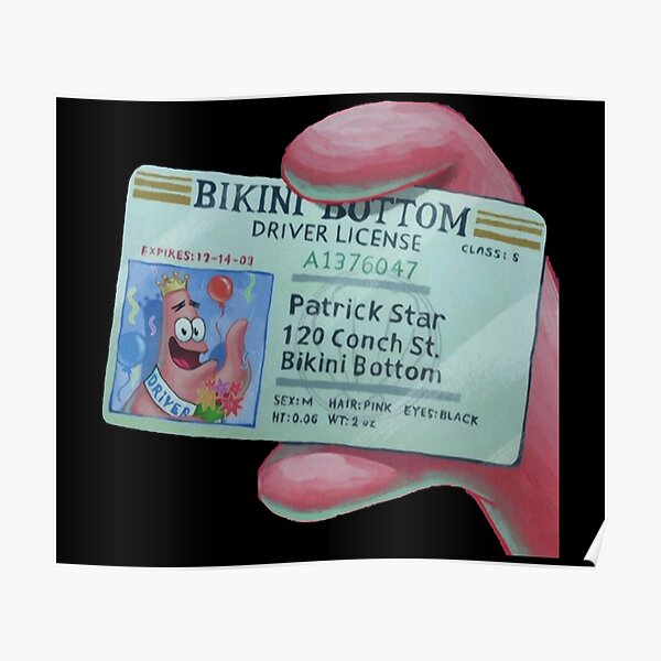 Póster «Licencia de conducir Patrick Star Fan Art & Merch» de ...