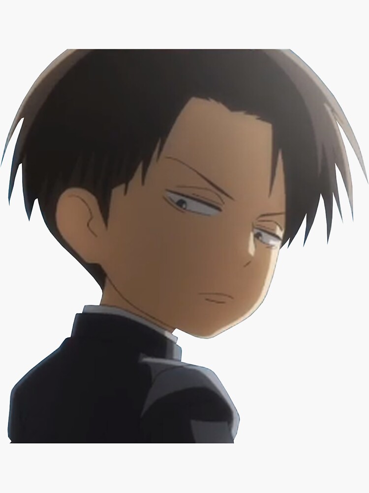 "Levi" Sticker by clowanflow | Redbubble