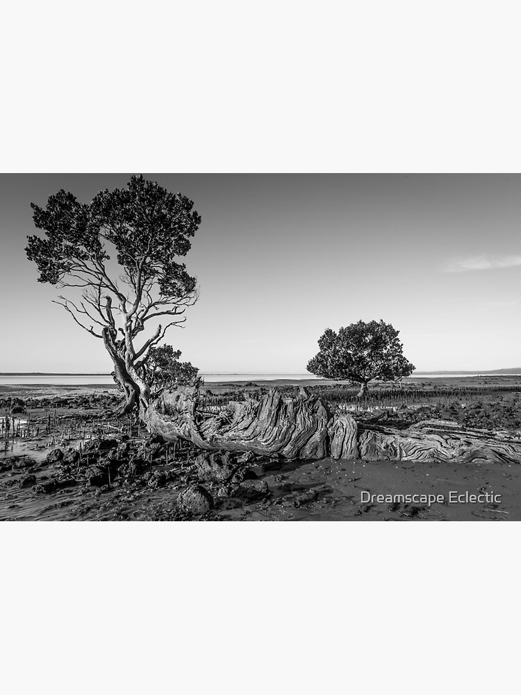 Pegatina «Woody en blanco y negro, Tenby Point, Victoria, Australia» de ...