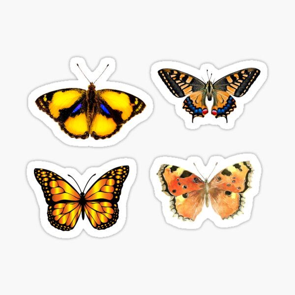 "Watercolor butterfly combo pack" Sticker for Sale by Jain123 | Redbubble