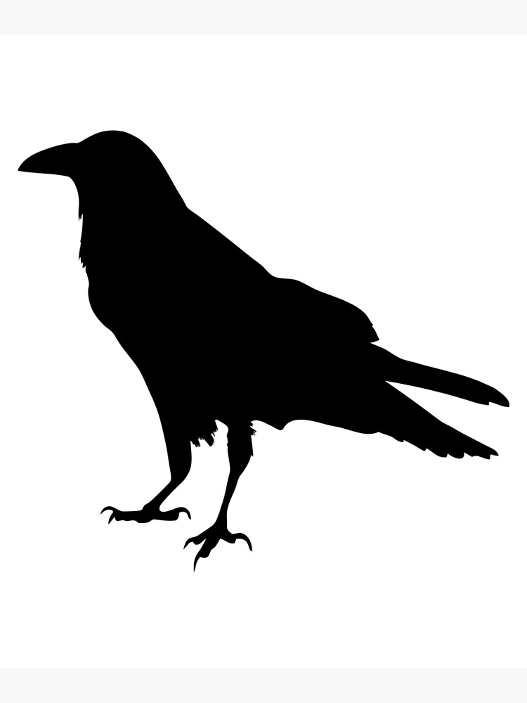 "Crow, raven or rook." Poster for Sale by Wooforyou | Redbubble