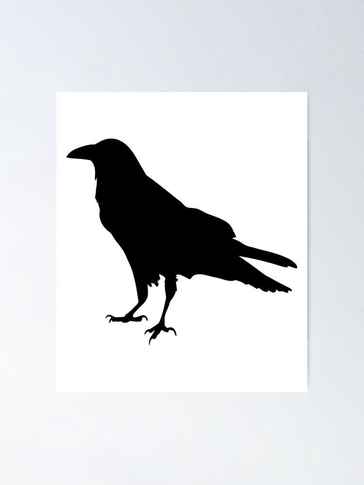 "Crow, raven or rook." Poster for Sale by Wooforyou | Redbubble