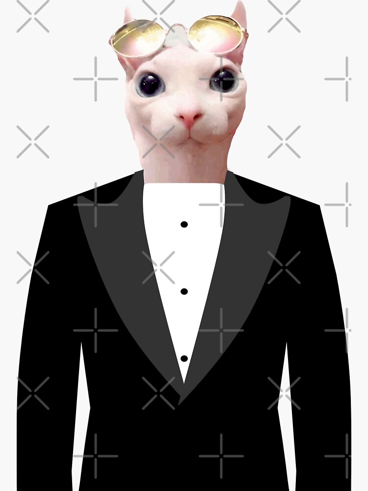 "Bingus in a Suit" Sticker by cannevas | Redbubble