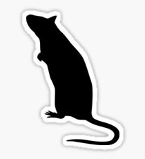 Rat: Stickers | Redbubble