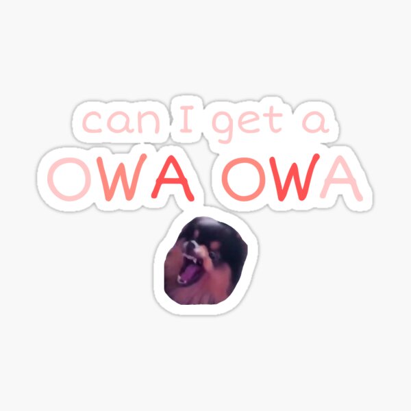 "can i get a owa owa" Sticker for Sale by daisycreations- | Redbubble