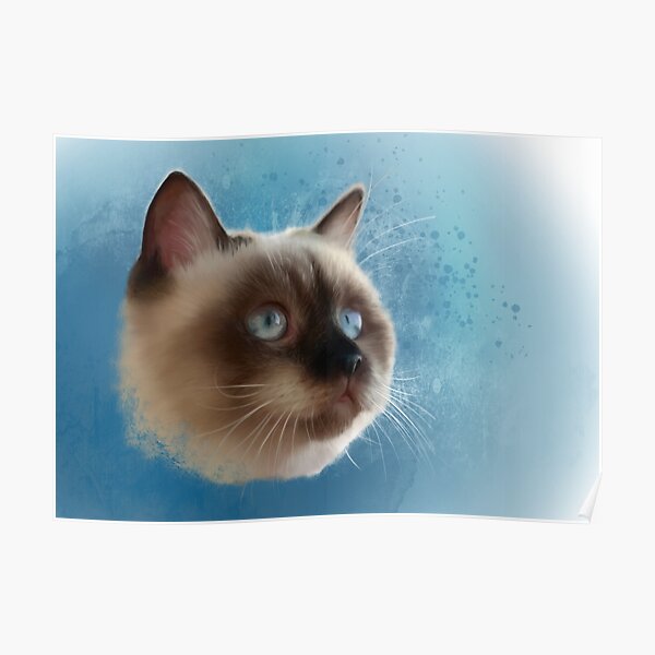 "Kookie" Poster for Sale by persephone-art | Redbubble