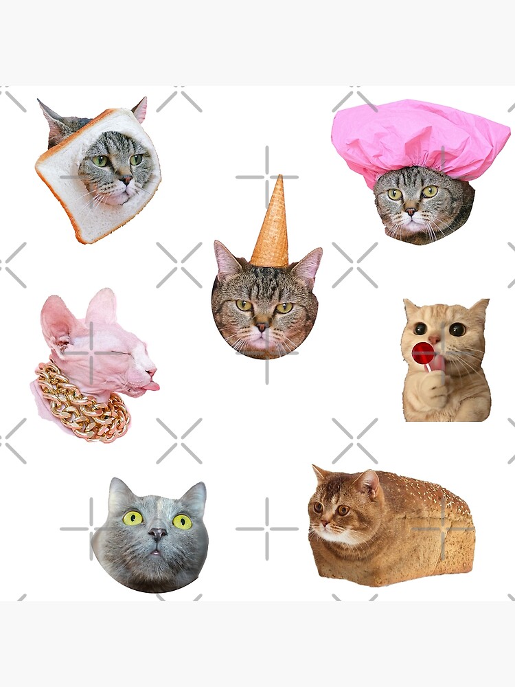 "funny cat sticker pack" Poster for Sale by Ashi17 | Redbubble