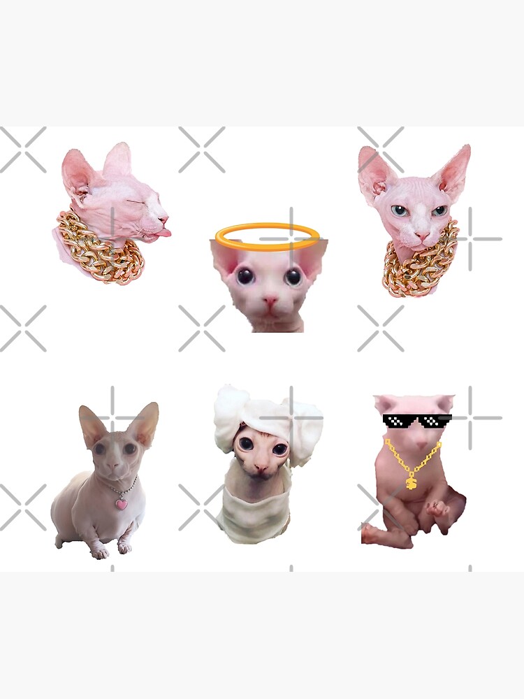 "bingus cat sticker pack of 6" Tapestry for Sale by Ashi17 | Redbubble