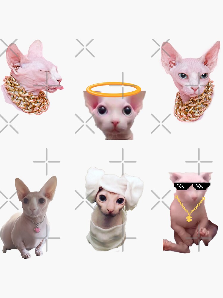 "bingus cat sticker pack of 6" Sticker for Sale by Ashi17 | Redbubble