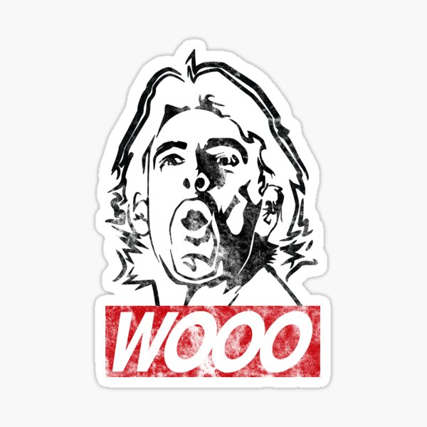 Ric Flair Stickers | Redbubble